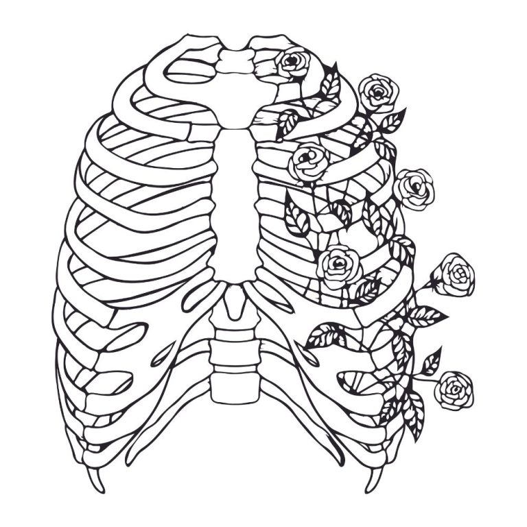 Floral Rib Cage SVG, PNG, JPG, PSD, DXF, AI Files | Craftpi