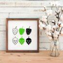 Beer Hops Bundle PNG, JPG, SVG, PSD, DXF Files | Craftpi