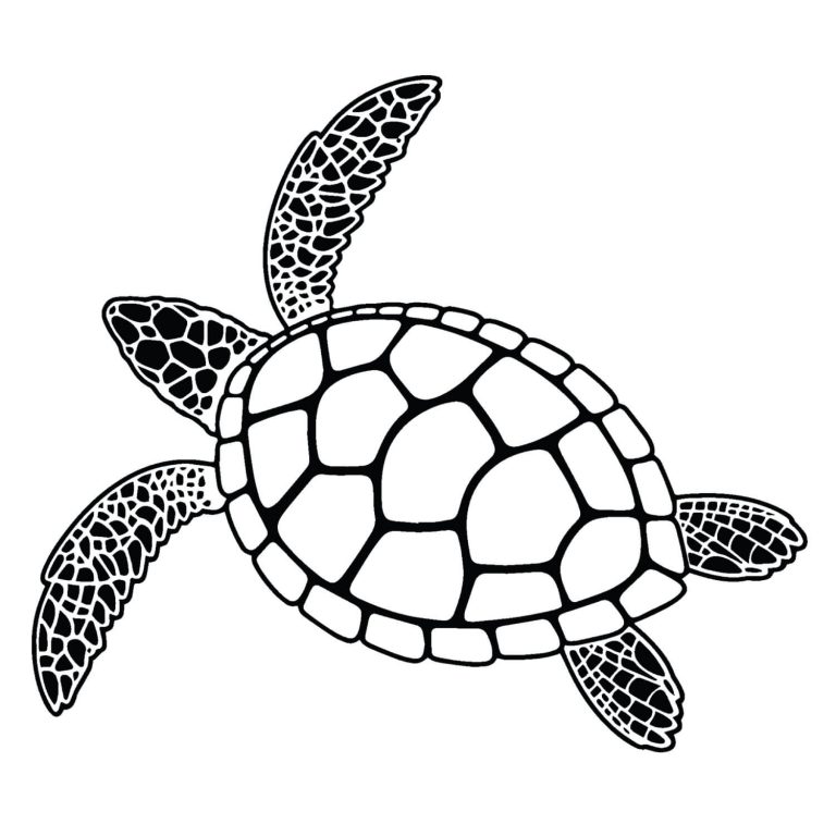 Turtles Vector SVG, PNG, JPG, PSD, DXF Files | Craftpi