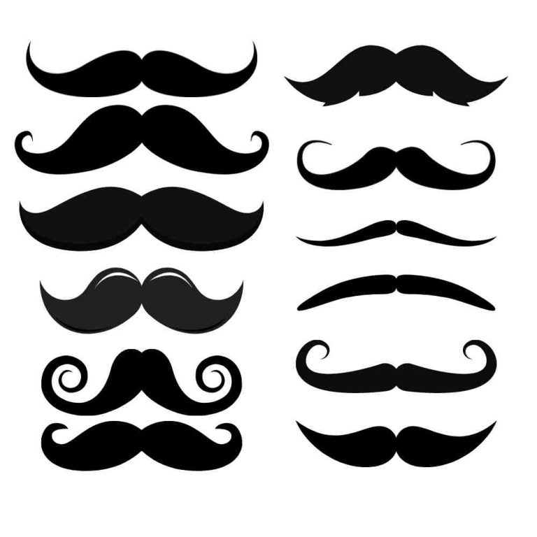 Perfectly Imperfect Frame SVG, PNG, JPG, PSD, DXF Files | Craftpi