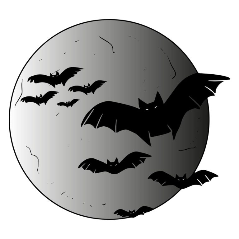 Moon and Bat SVG, PNG, JPG, PSD, DXF Files | Craftpi