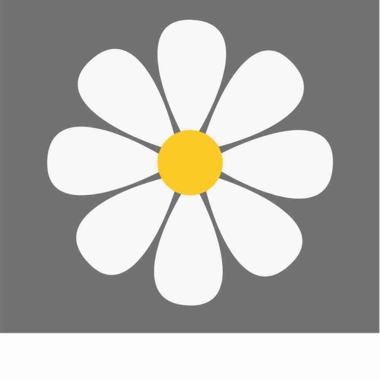 Basic Daisy Flower SVG, PNG, JPG Files | Craftpi