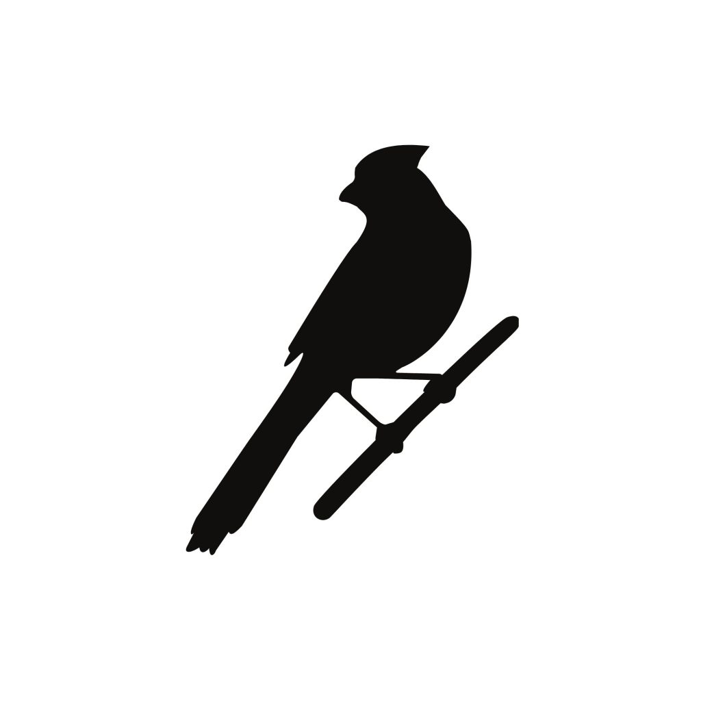 Free Cardinal SVG, PNG, JPG Files | Craftpi