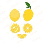 Free Lemon Bundle SVG, PNG, JPG, PSD, DXF Files | Craftpi