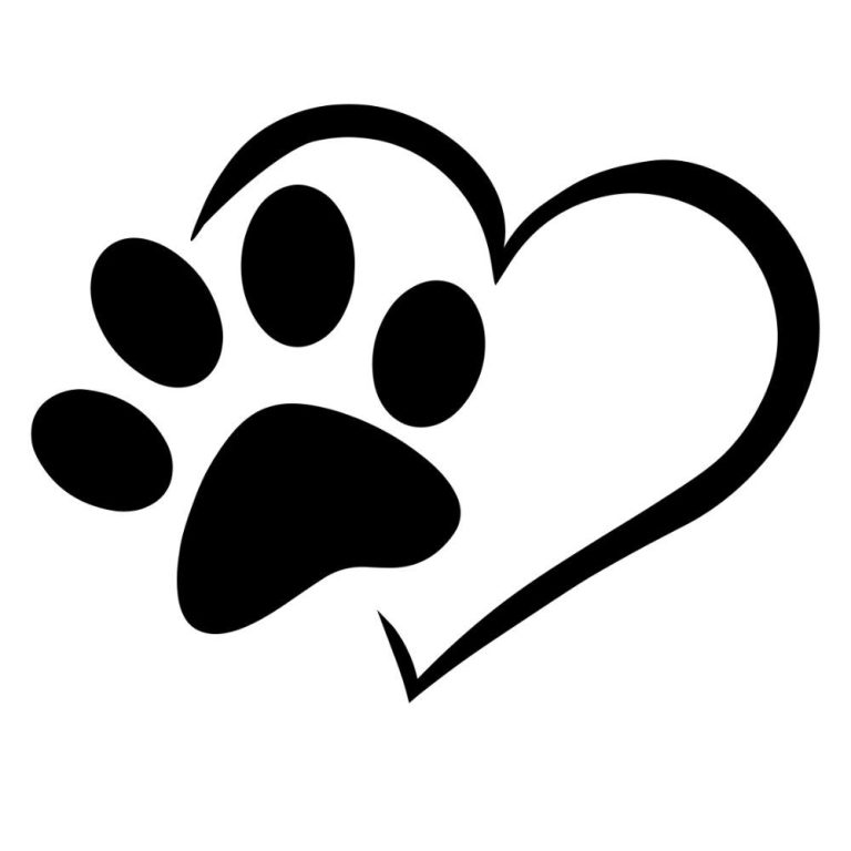 Paw Print & Outline SVG, PNG, JPG Files | Craftpi