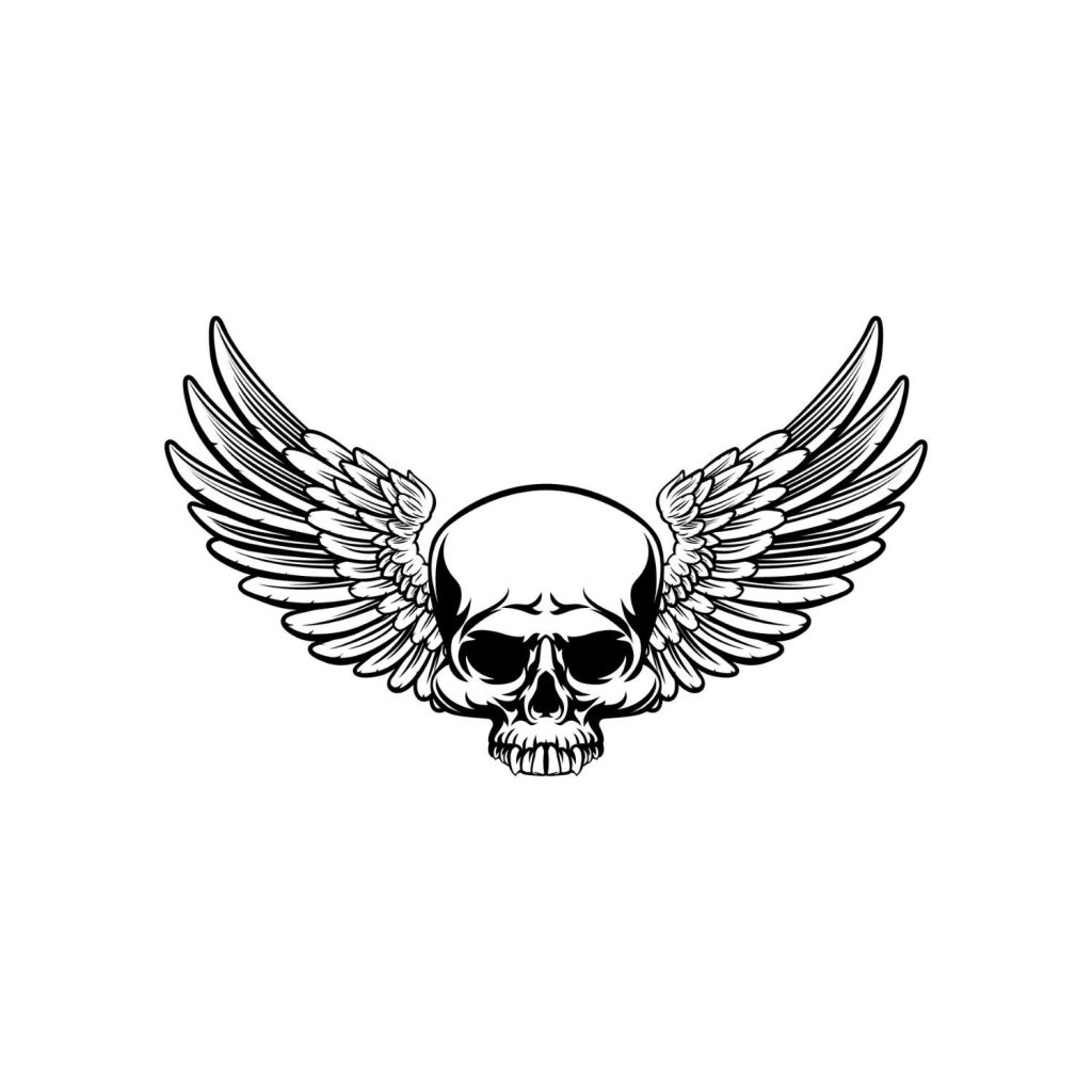Angel Skull SVG, PNG, JPG, PDF Files | Craftpi