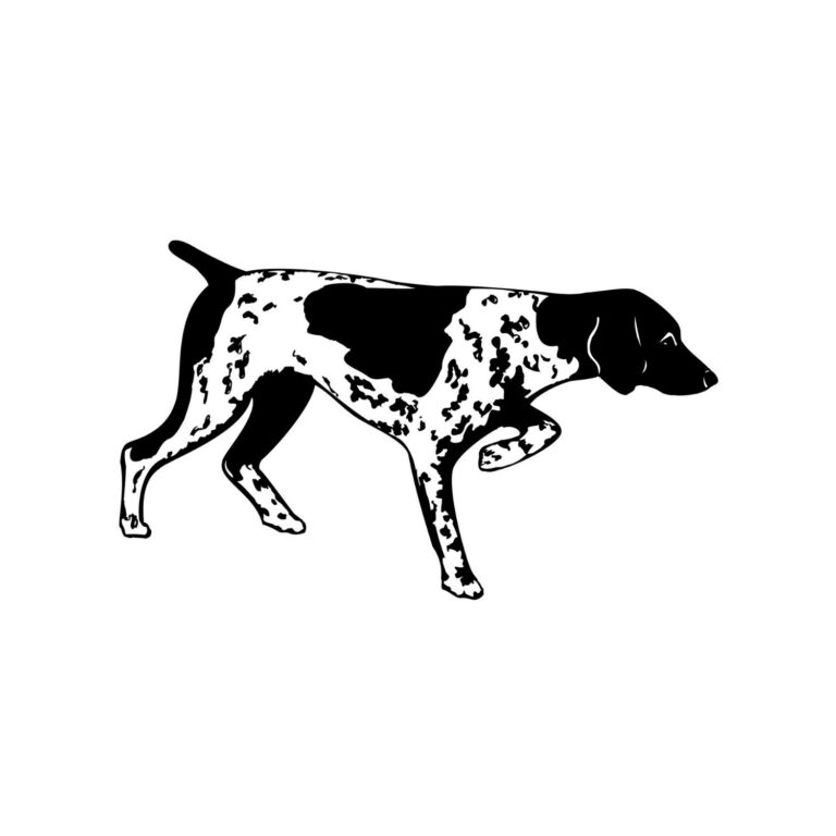 Hunting Dog SVG, PNG, JPG, PDF Files | Craftpi