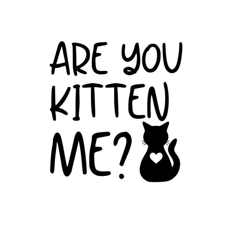 Cat SVG - Free Cute Kittens and Cat SVG Files | Craftpi